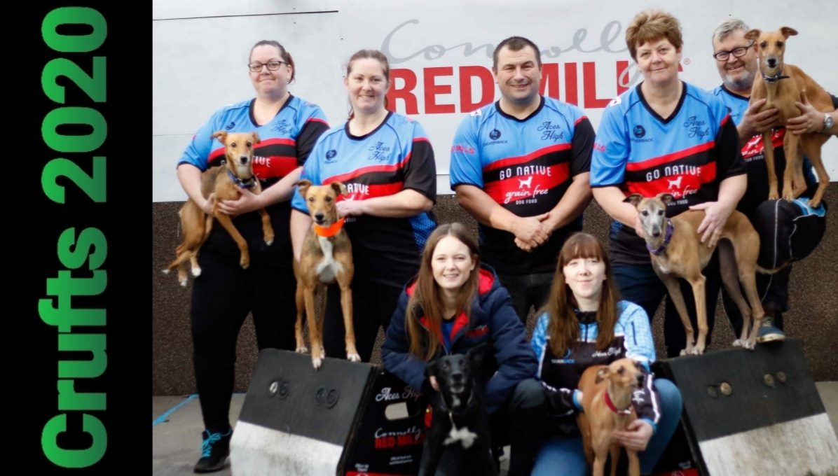 Crufts catch-up with our Flyball Ambassadogs Aces High - Connolly's Pet